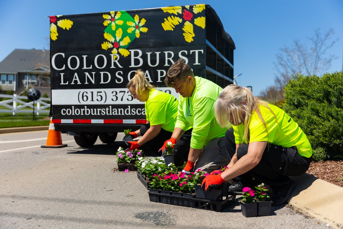 Seasonal Flower Installation in Nashville, TN | Color Burst Landscapes