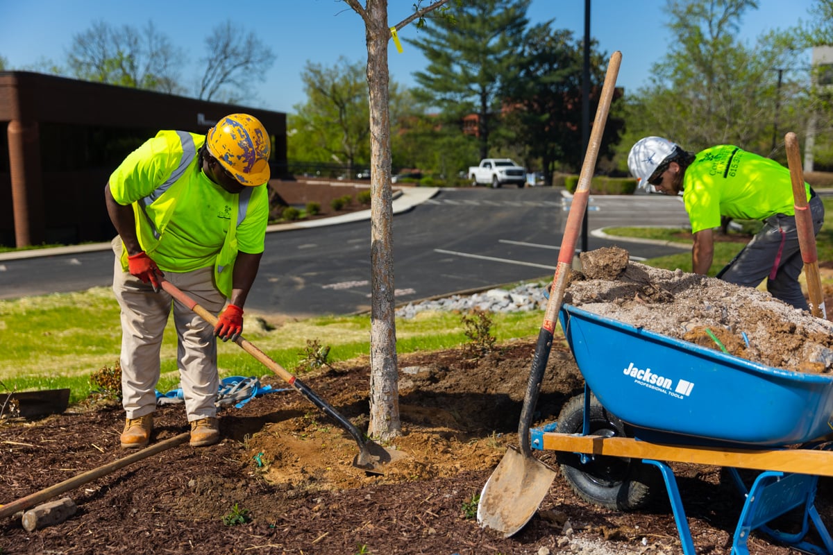 Commercial Landscaping Services in Nashville Area | Color Burst Landscapes